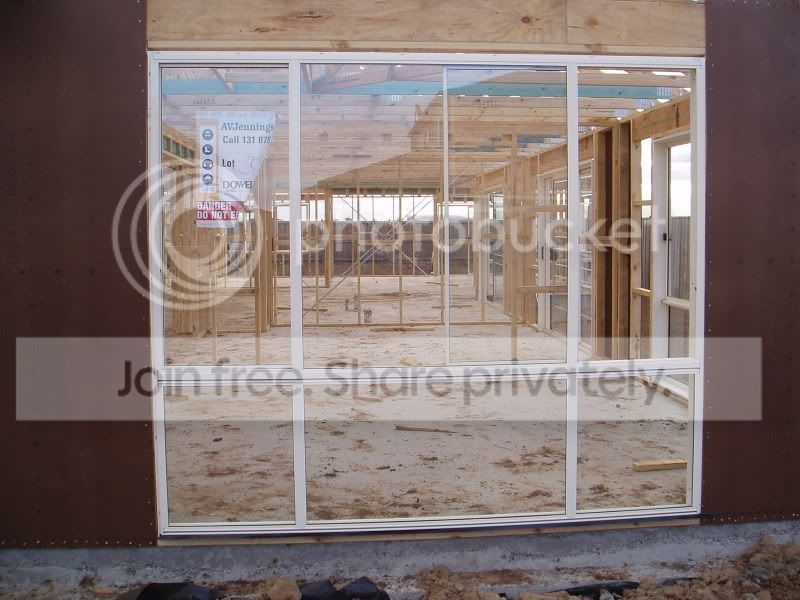 White Birch Windows? • Home Renovation & Building Forum