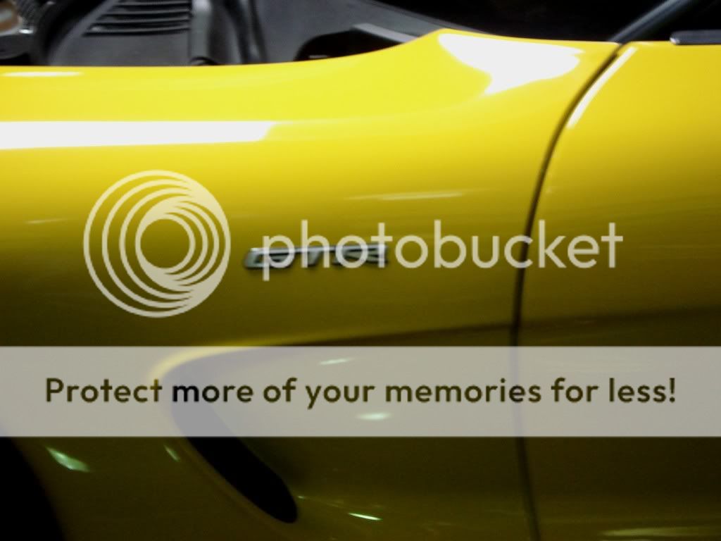 PICS of Dale Earnhardt's C5 Corvette GTR - CorvetteForum - Chevrolet ...