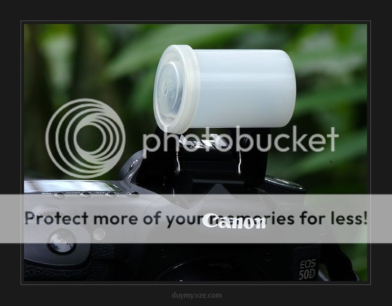 50D + 50mmf/1.8 + Raynox + pop up flash: Canon EOS 7D / 10D - 90D Talk ...